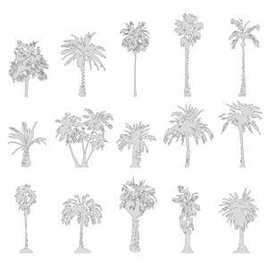 Revit Detail Item Palm Trees Elevation - Etsy