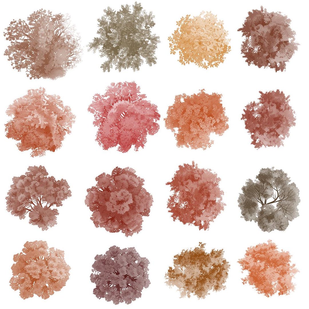 Photoshop Brushes Autumn Trees Plan - Etsy
