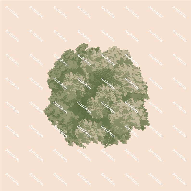 Photoshop Brushes - Summer Trees Plan - Etsy