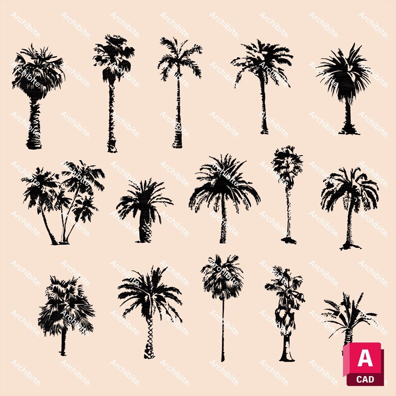 DWG Palm Trees Elevation - Etsy
