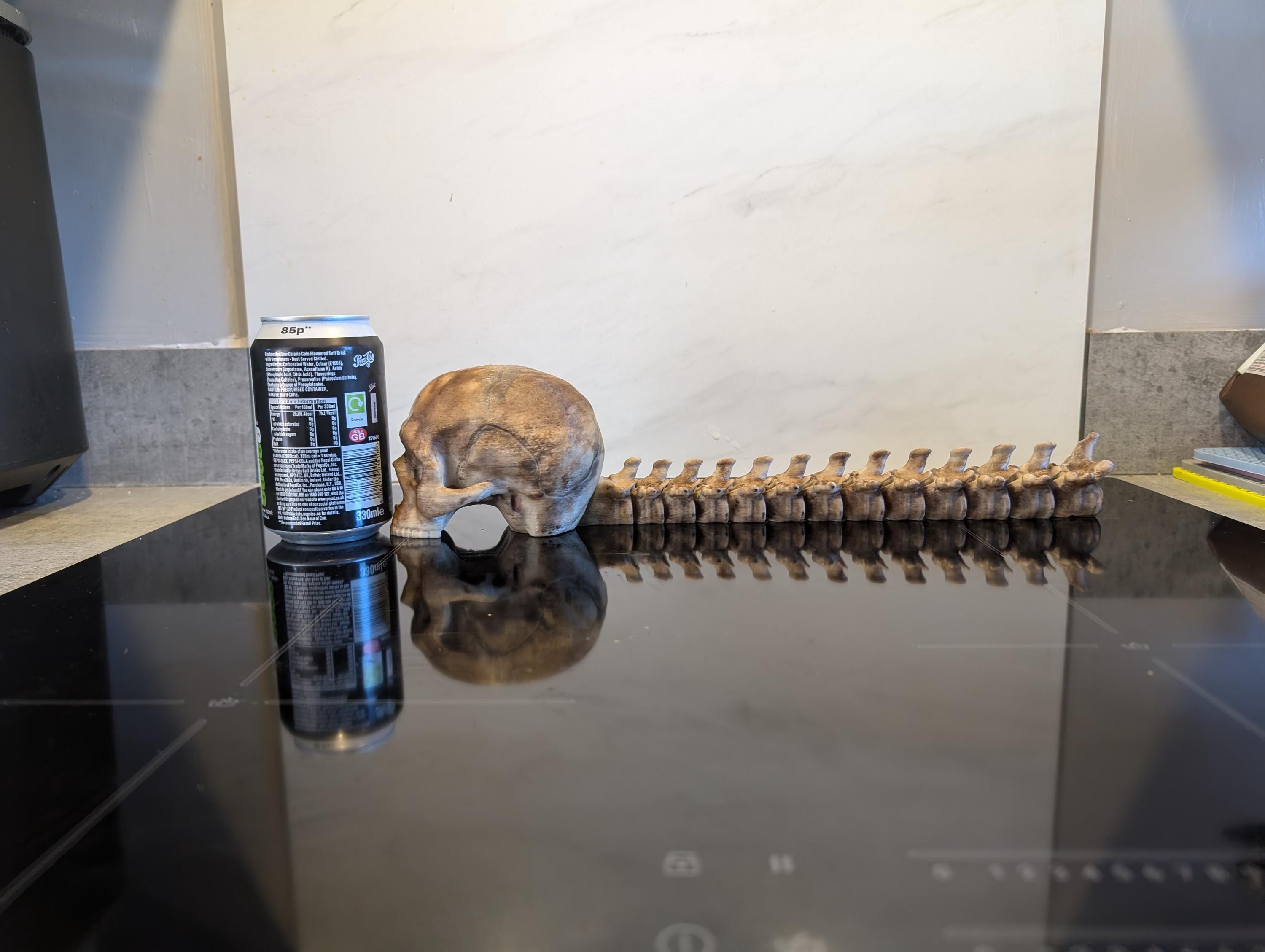 Realistic 3D Printed Human Skull With Spine Hand-painted and Weathered ...