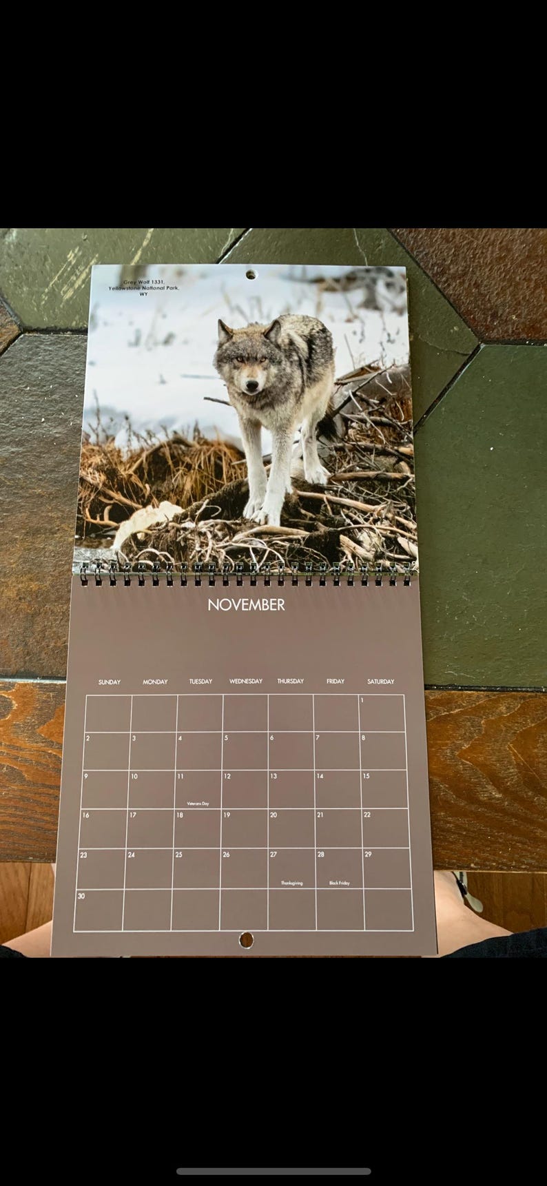 2025 Wildlife Calendar 8x8in - Etsy