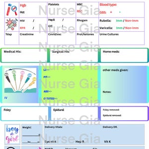 Labor and Delivery Nursing Report Sheet "nurse Notes" "instant Download ...