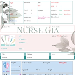 Labor and Delivery Nursing Report Sheet "nurse Notes" "instant Download ...