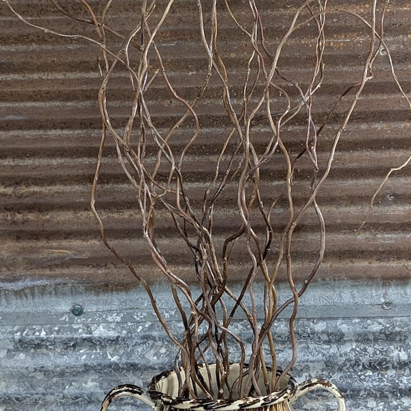 Willow Branches - Etsy
