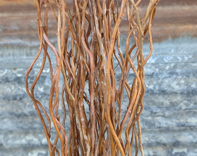 50 Stems Dried Curly Willow, Natural Decor, Dried Flower Stems, Rustic ...