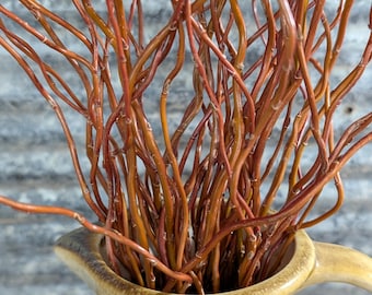 50 Stems Dried Curly Willow, Natural Decor, Dried Flower Stems, Rustic ...