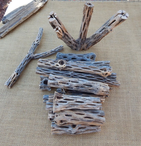 Cholla Cactus Wood / NM Desert Cholla Wood Naturally Aged / | Etsy