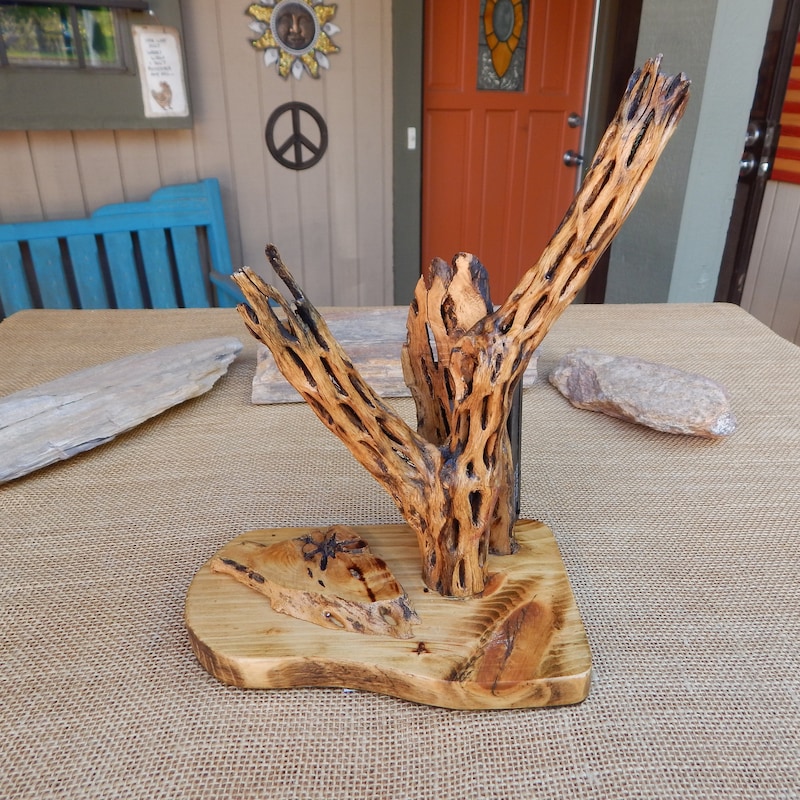 Cholla Cactus - Etsy