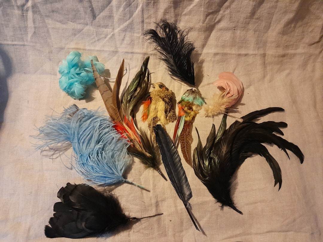 A Set of 10 Old Feathers for Woman ' S Hat. France End of - Etsy