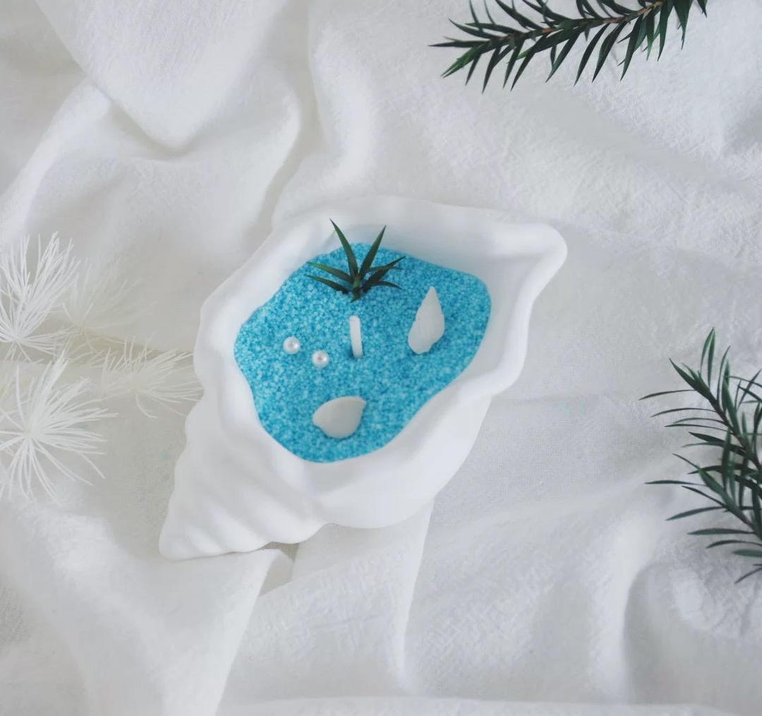 Plaster Seashell Candle Holder | Jewelry Display Tray | Decorative ...