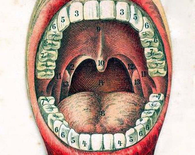 This item is unavailable - Etsy