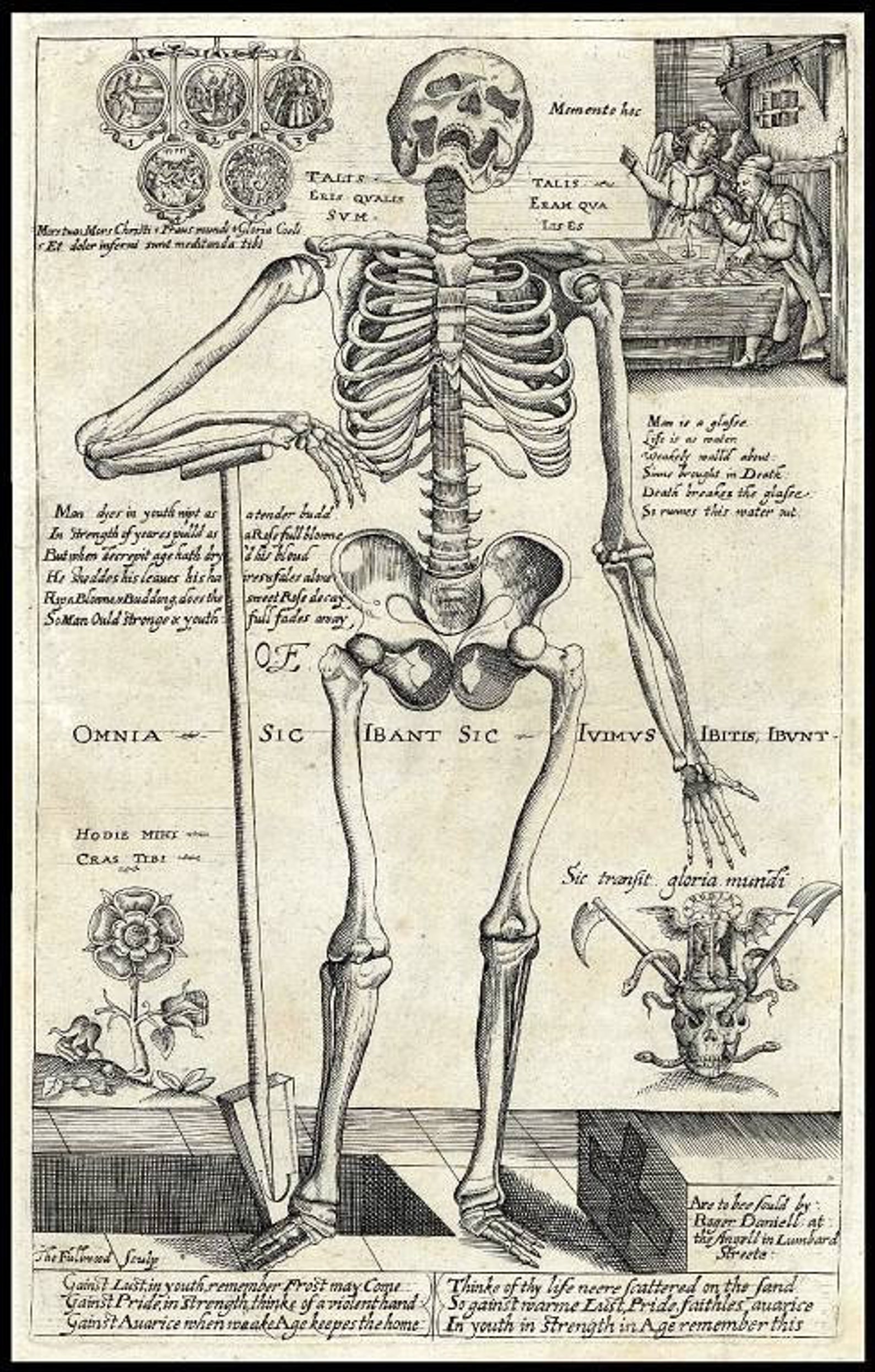 Instant Download Standing Man Skeleton Halloween Goth Spooky Dark You ...