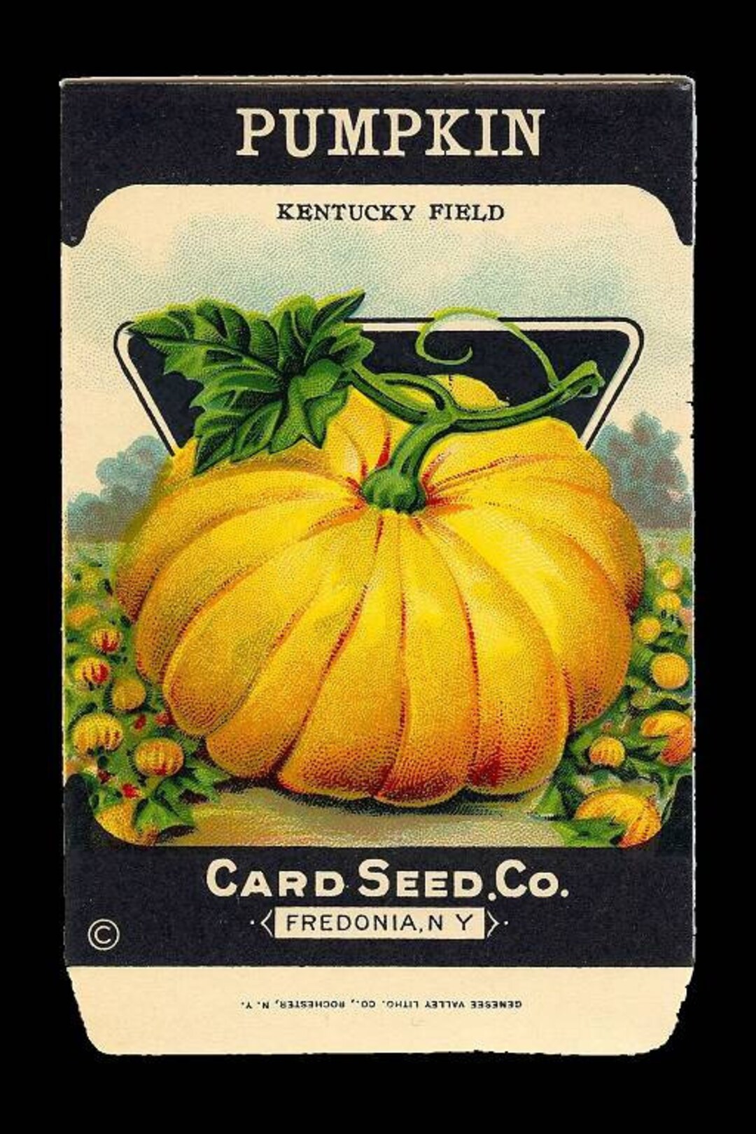 Instant Download Halloween Thanksgiving Pumpkin Seed Packet Post Card ...