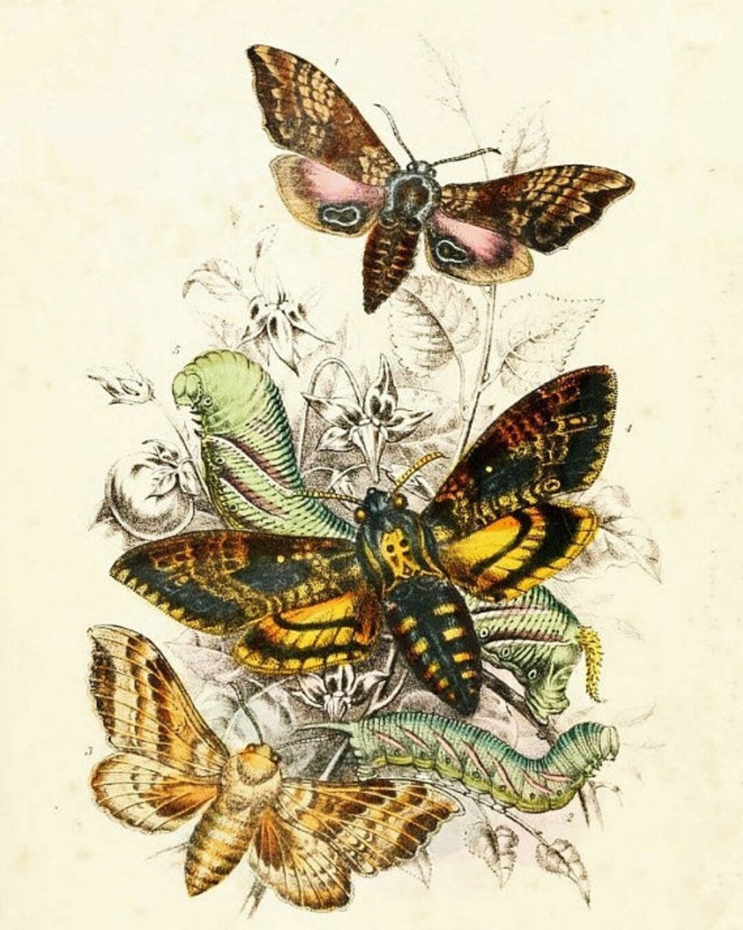 This item is unavailable - Etsy