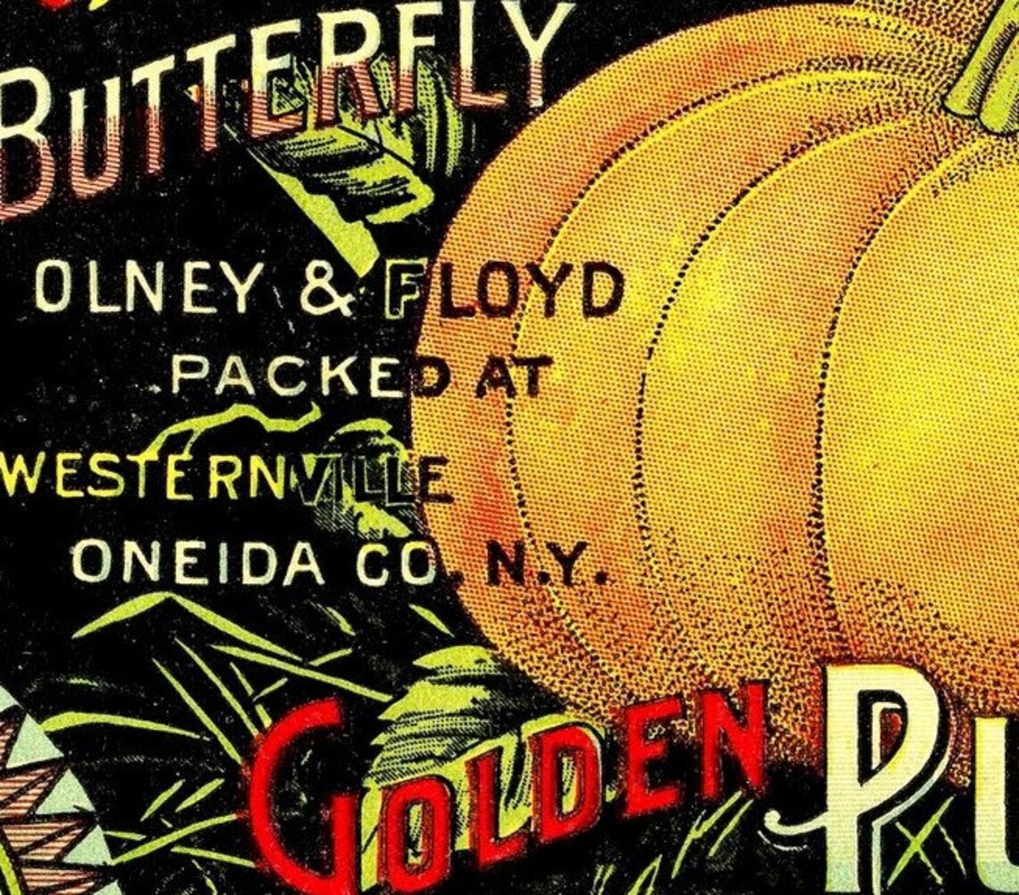 Instant Download Halloween Pumpkin Post Card Digital Image | Etsy