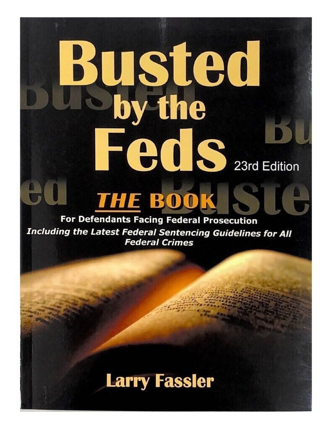 Busted by the Feds 23rd Edition 2023 Book for Defendants Facing Federal ...