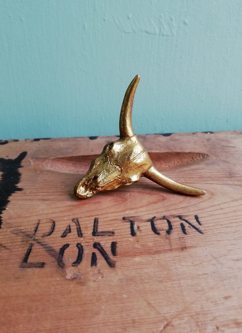 Golden Buffalo Skull Brass Effect Drawer Furniture Knobs - Etsy