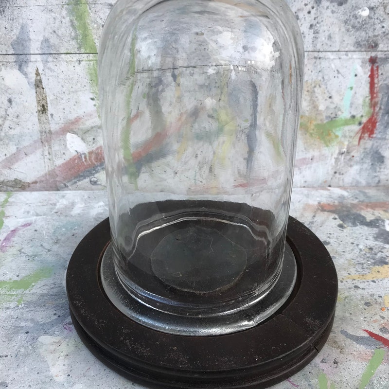 Glass Dome Display - Etsy