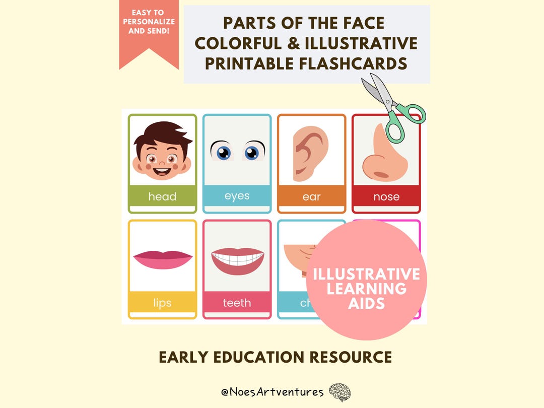 Printable Flashcards Parts of the Face Colorful Illustrative Kids ...