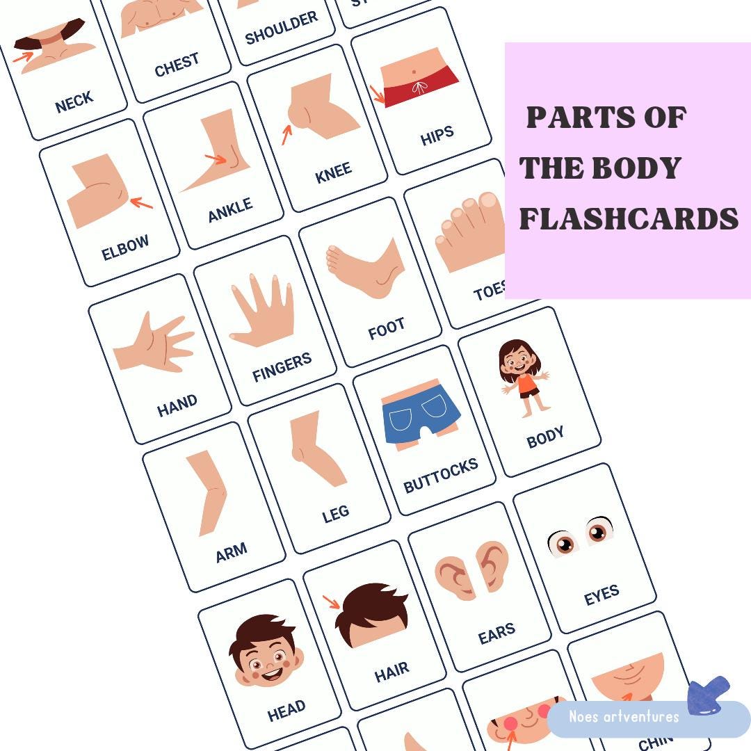 White Neutral Parts of the Body Flashcards for Kids - Printable PDF ...