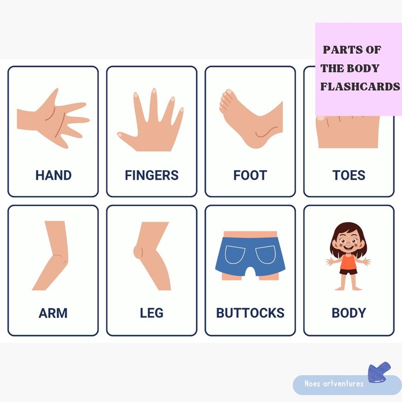 White Neutral Parts of the Body Flashcards for Kids - Printable PDF ...