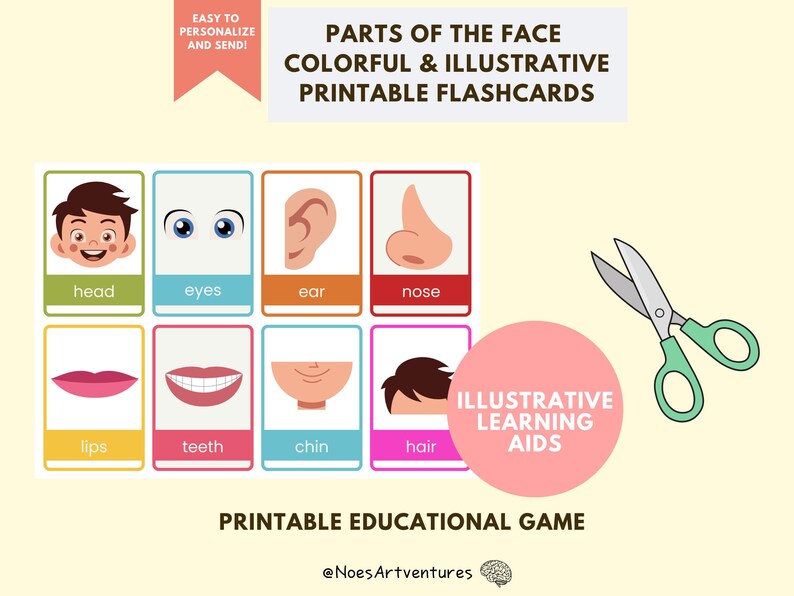 Printable Flashcards Parts of the Face Colorful Illustrative Kids ...