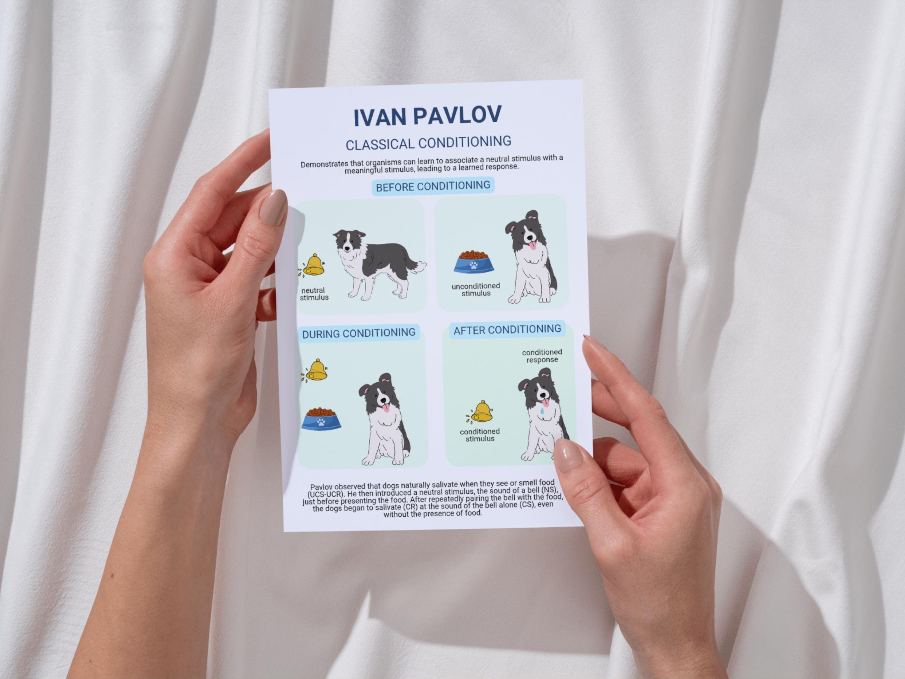 Psychology Theorists Poster Set Pavlov Kolhberg Bowlby Ainsworth ...