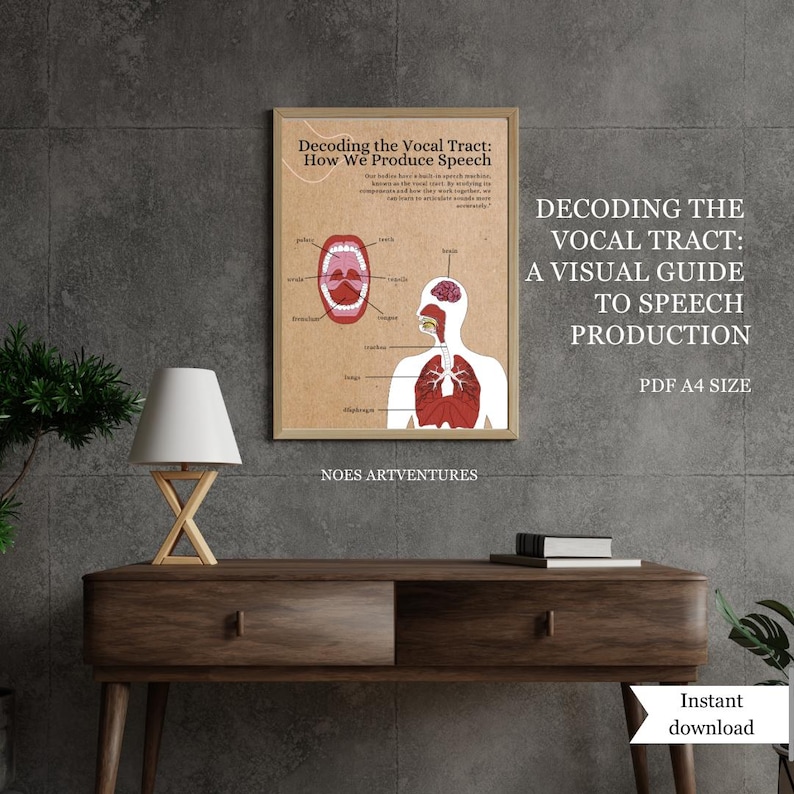 Poster Decoding the Vocal Tract A Visual Guide to Speech Production ...