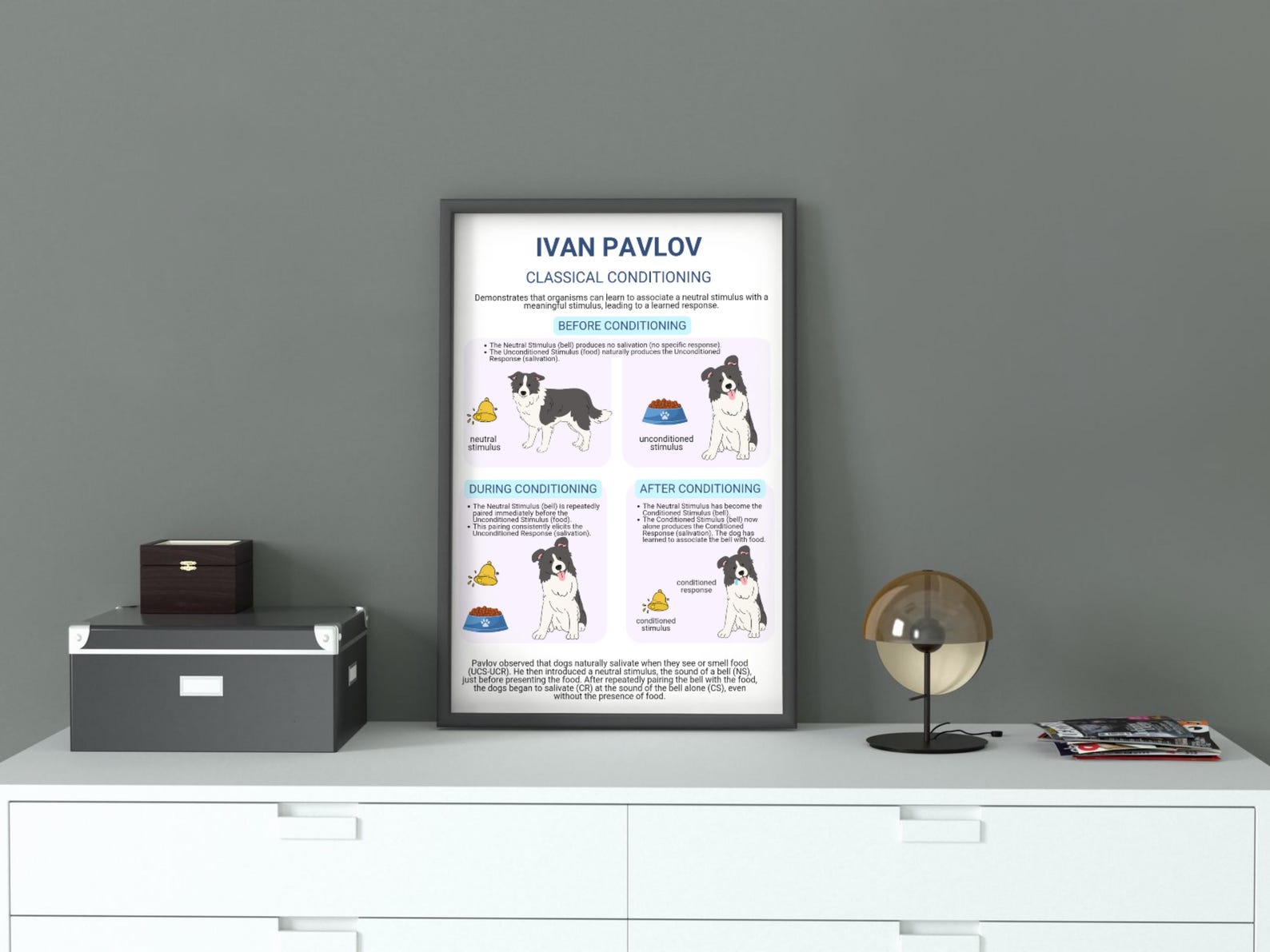 Behaviorism Theory Poster Set Ivan Pavlov, John Watson BF Skinner ...