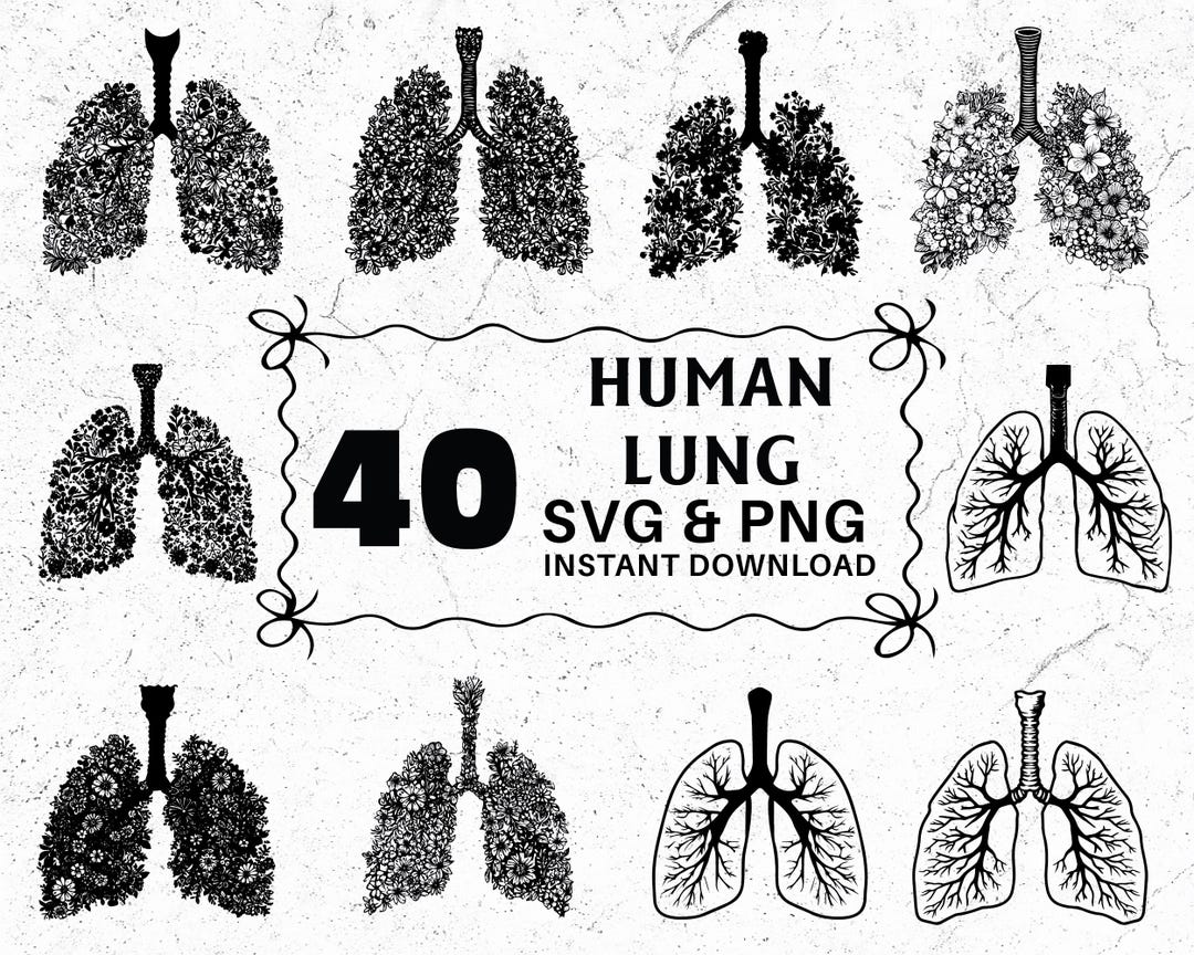Human Lung Anatomy SVG Bundle: Medical Clipart, Cricut Cut File ...