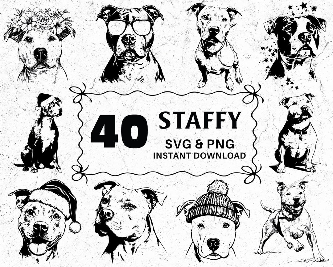 Staffordshire Bull Terrier SVG Bundle: Staffy Clipart, Cricut Cut File ...