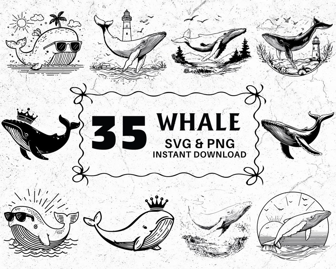 Wal SVG PNG Bundle: Ozean Tier Clipart, Cricut Cut Datei (digitaler ...