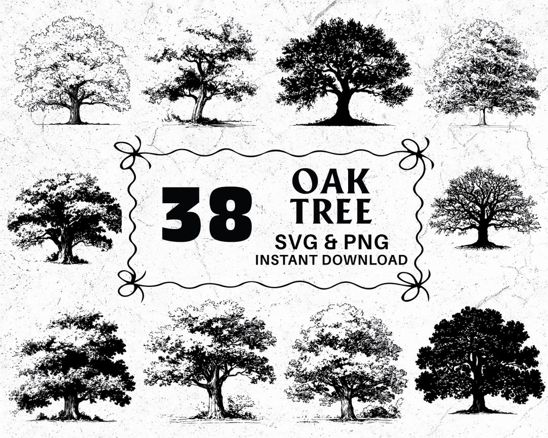 Oak Tree SVG PNG Bundle, Majestic Oak Silhouette Clipart, Woodland Tree ...
