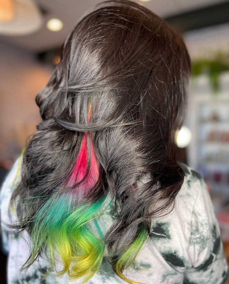 Professionally Custom Colored Human Hair Clip-in Extensions - Etsy