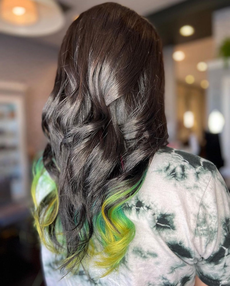 Professionally Custom Colored Human Hair Clip-in Extensions - Etsy