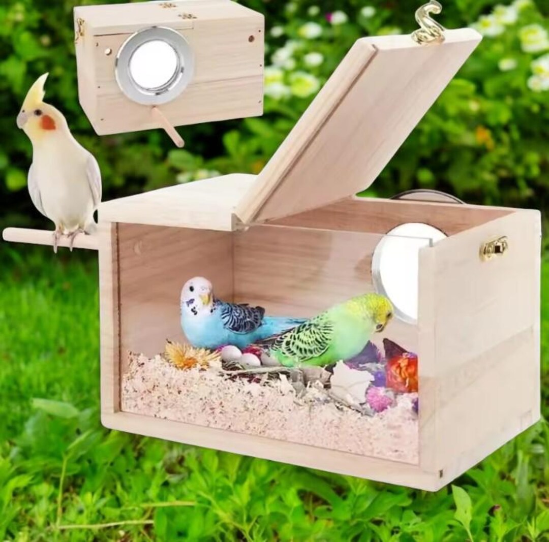 Transparent Parakeet & Cockatiel Nesting Box – Easy to Clean, Smooth ...