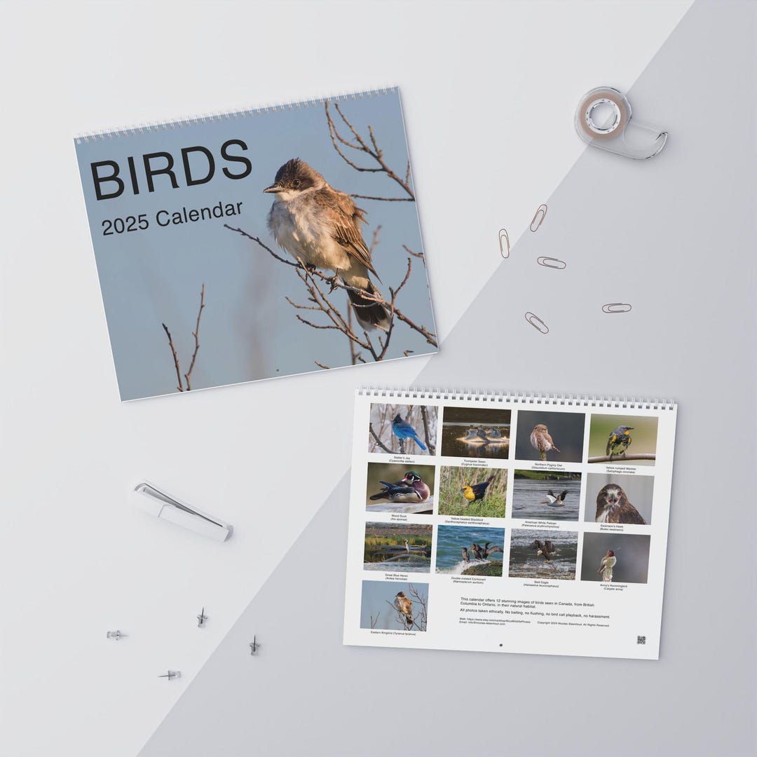 Birds of Canada Wall Calendar 2025 - Etsy