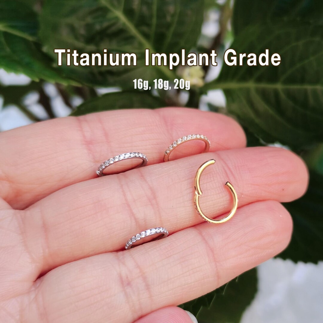 CZ Paved Titanium Hinged Hoop: 16g/18g/20g Nose/cartilage/helix Ring - Etsy