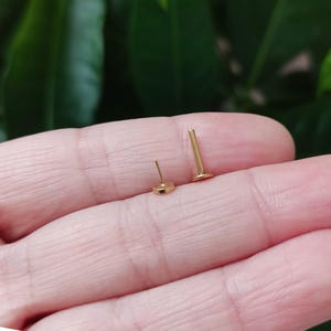 16G/18G/20G Titanium Whorl Disc Threadless Push Pin Labret Stud ...