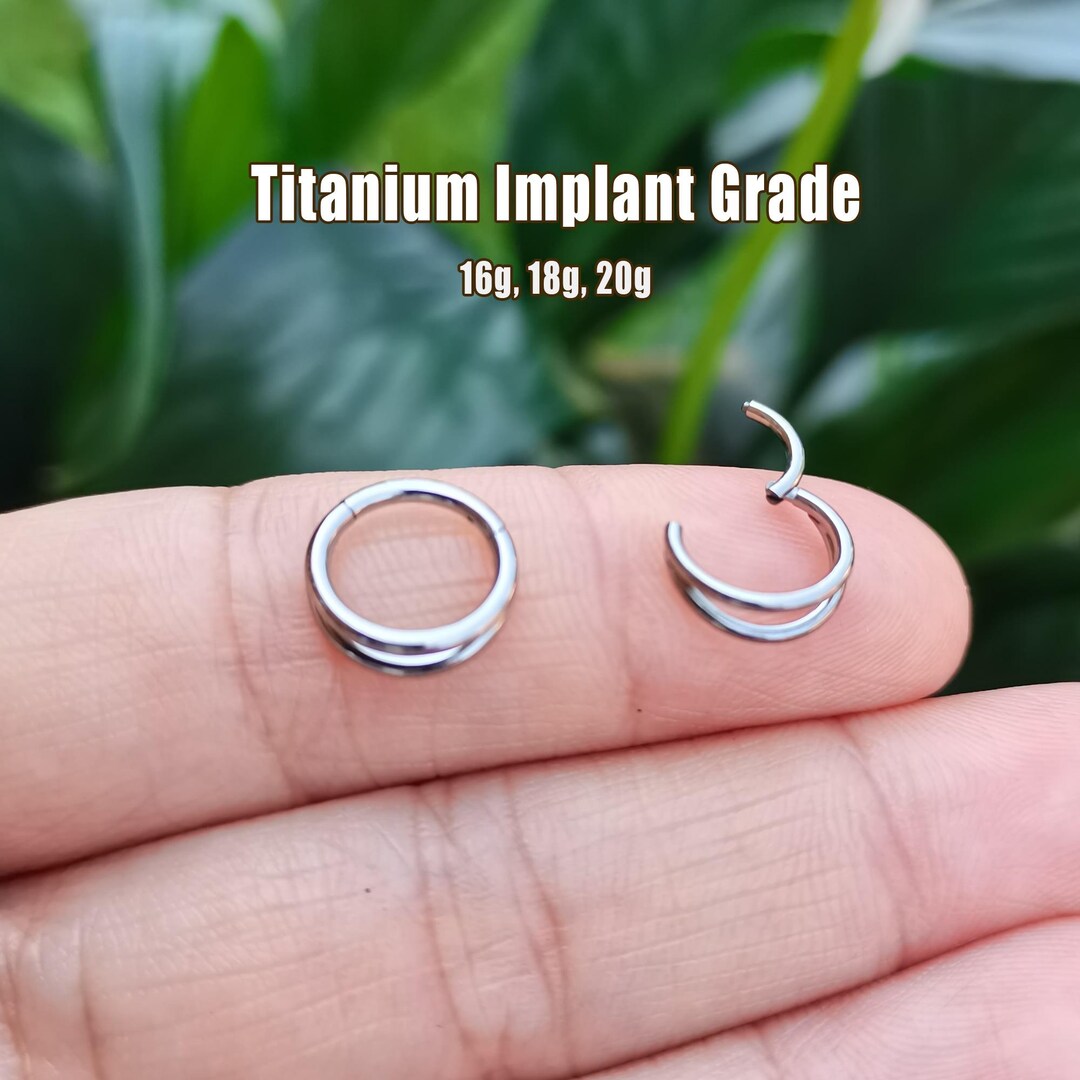 Solid Titanium Double Hinge Hoop, Hinged Segment Ring, Clicker Hoop ...