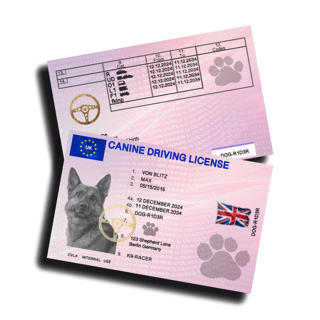 Personalised Dog Driver's License Custom Canine Licence - Etsy