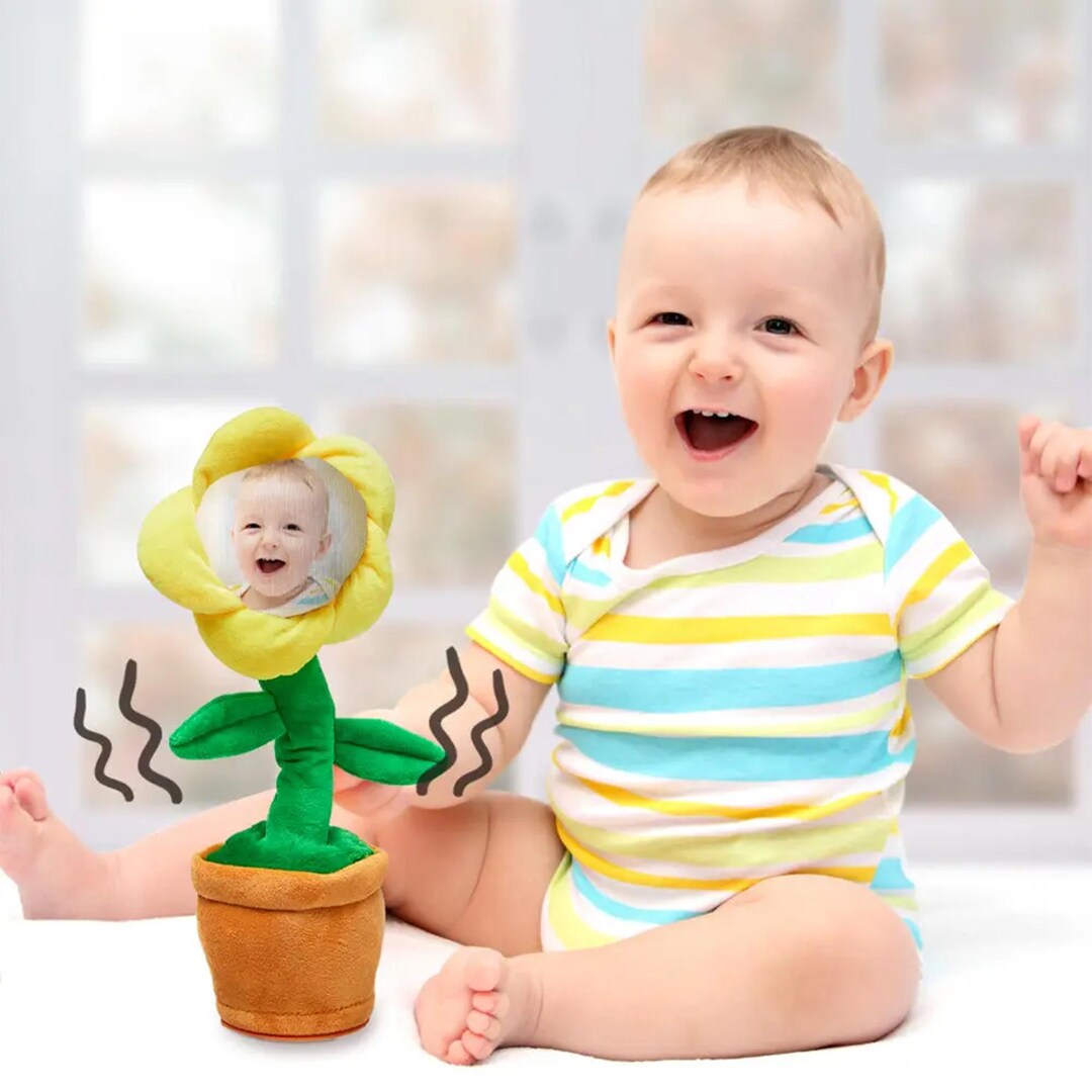 Custom Photo Dancing Plant, Recording Music Toy Flower, Singing ...