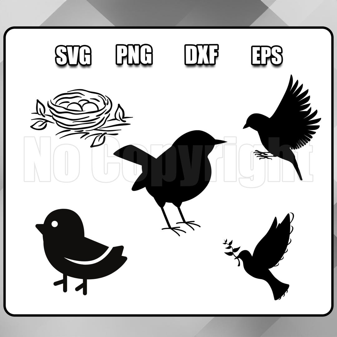 Bird SVG, Bird Svg Bundle, Flying Bird Svg, Animal Svg, Bird Clip Art ...