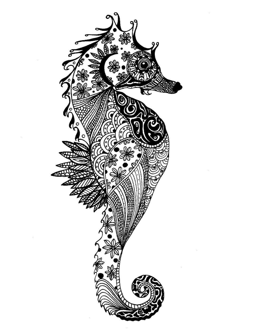 Sea Horse Coloring Page A4 - Etsy