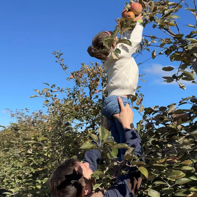 Cozy Cinnamon Apple Tartlets | Easy Printable Recipe | Holiday Dessert ...
