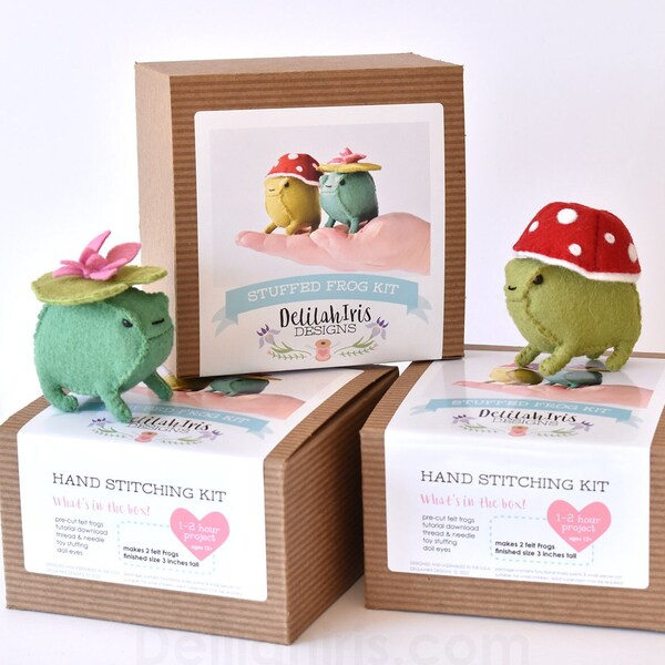 Frog Craft Kit - Etsy