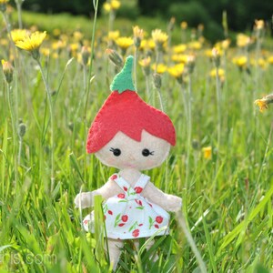Flower Pixie Doll Sewing Patterns - Digital PDF Dollmaking Felt Pattern ...