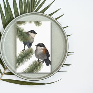 Bird Blank Greeting Card, Animal Card, Birthday Card, Thank You Card ...