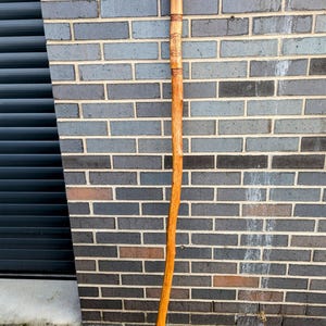 Hand Carved Birch Walking Stick With the Hammer of Thor and Viking ...